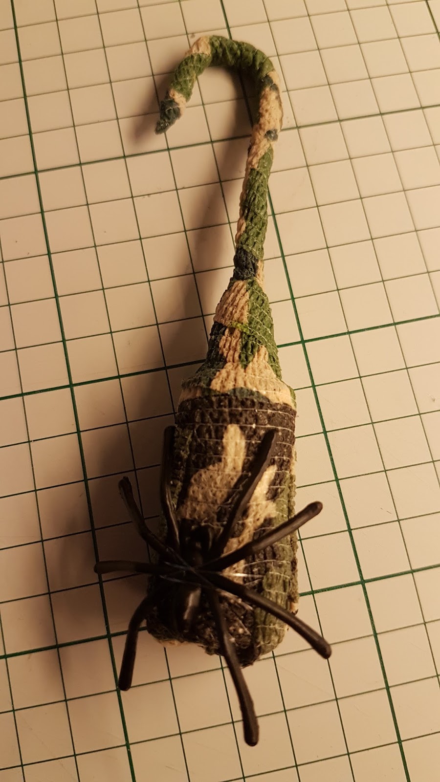 Geocache: spider in the tree