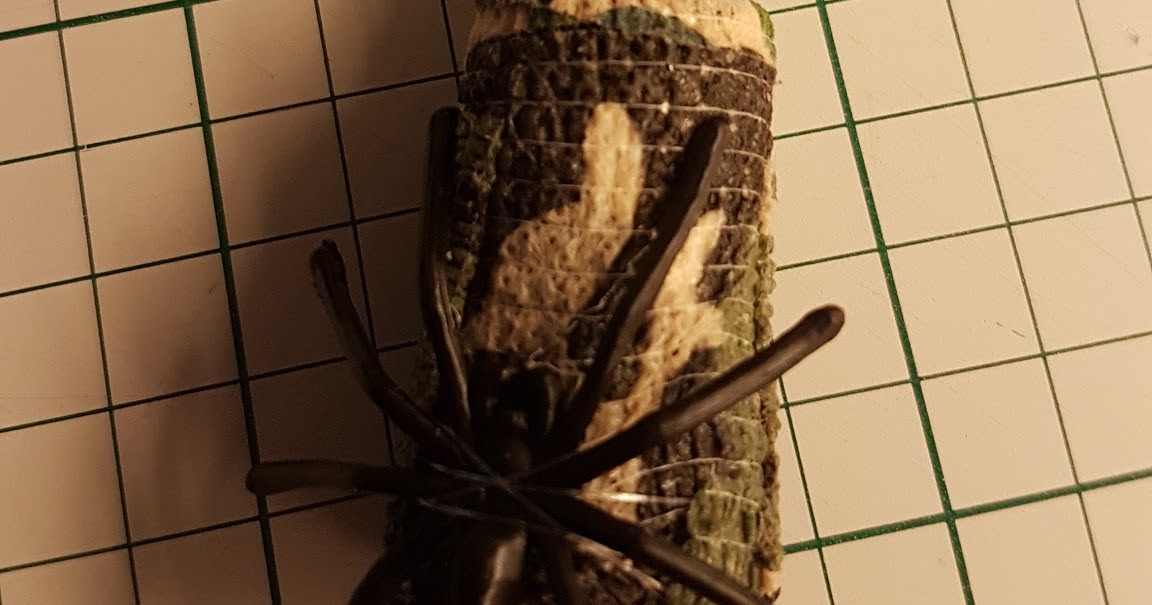Geocache: spider in the tree