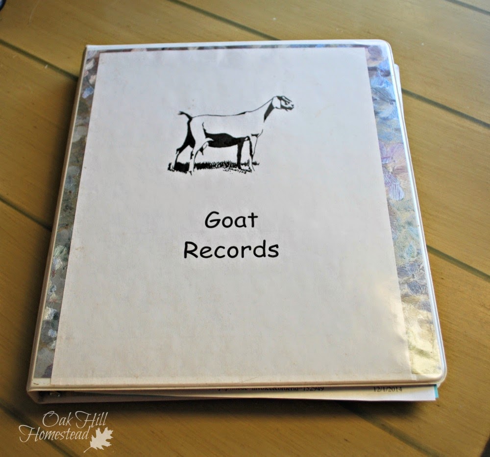 Recordkeeping on the Homestead: Goat Records (including free printables ...