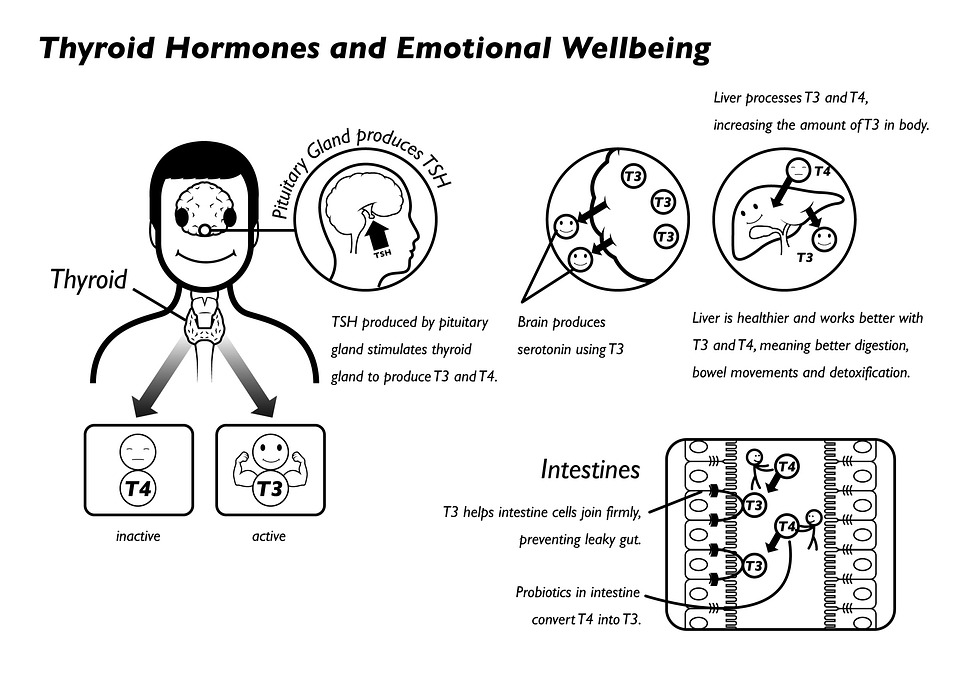 Thyroid And Hair Loss: People's Common Hair Problem | Hair Loss Treatment