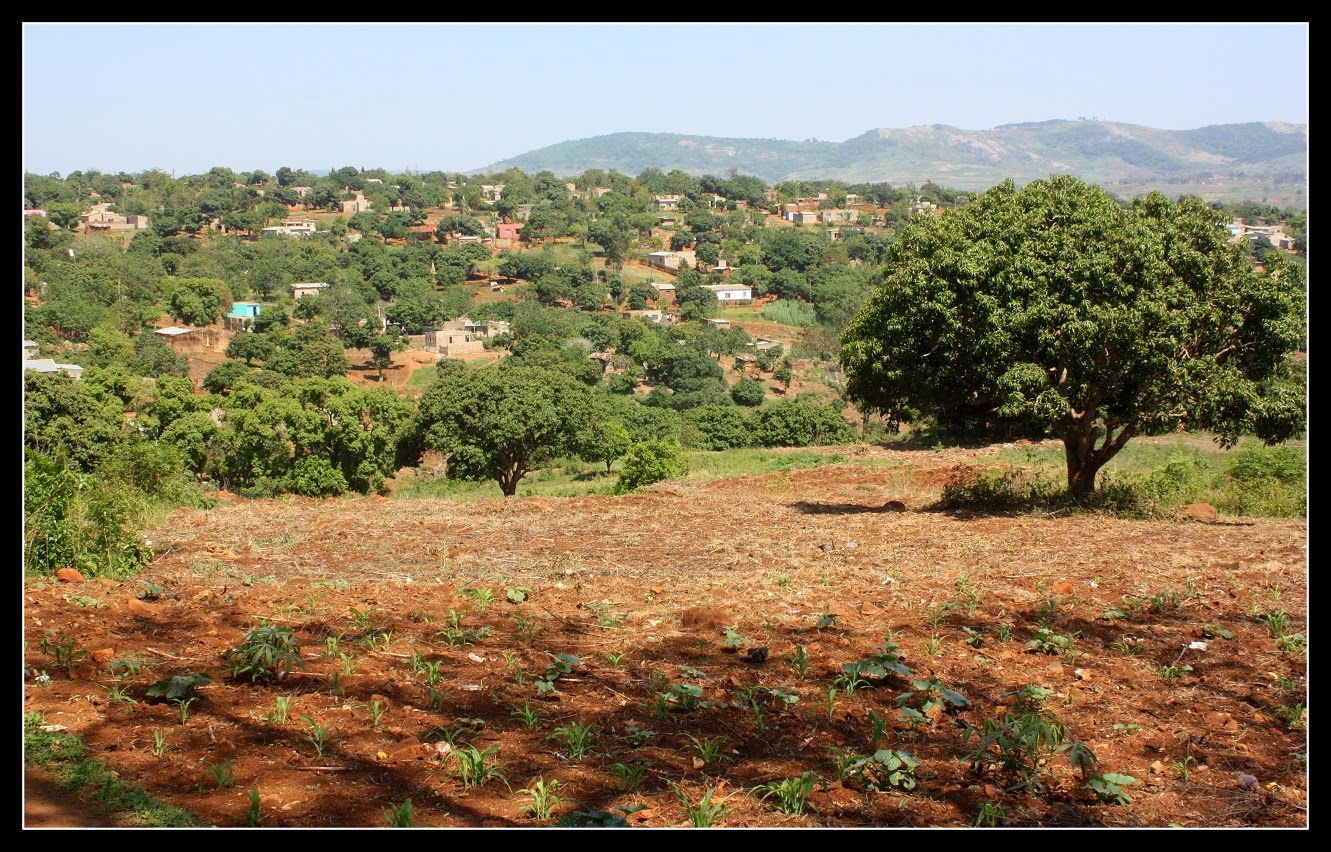 Bom Dia, Mozambique! : 10. Namaacha
