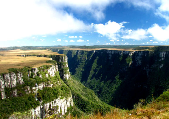 Flavors of Brazil: White Honey from the Canyonlands