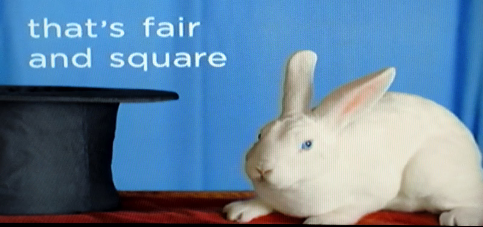 Rabbit Ramblings: More bunnies in commercials