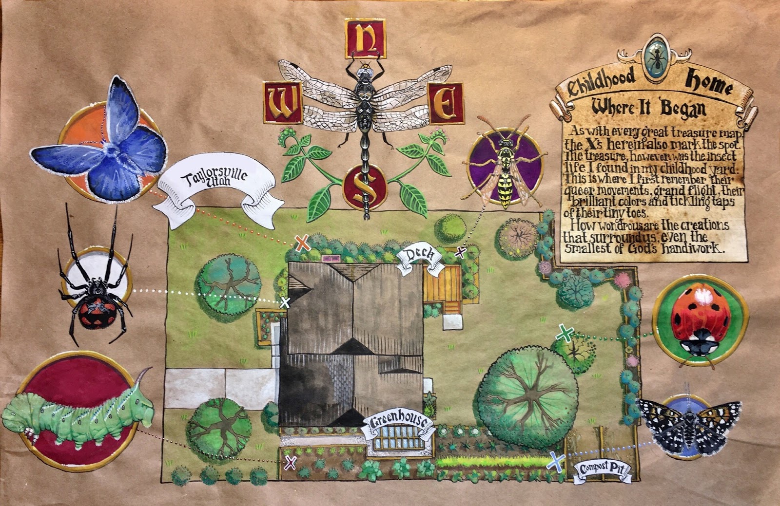 Sketchpot: Insect Map, Finally Complete!