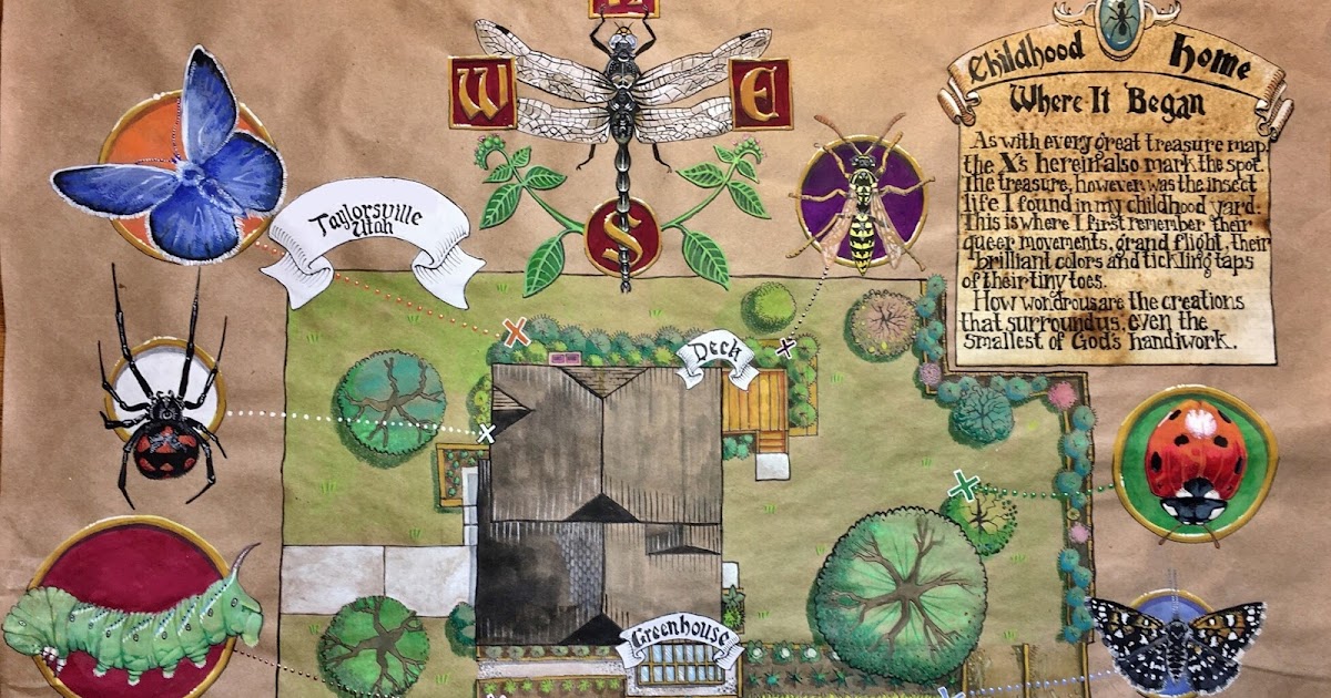 Sketchpot: Insect Map, Finally Complete!