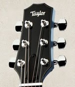 Everything Guitar Network: Electric Guitar Review!Taylor SolidBody 2 ...