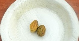 Haritaki | Kadukkai Health Benefits and Uses for hair and skin | Pink ...