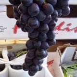 Scoala de bucatarie italiana: Strugurii de masă