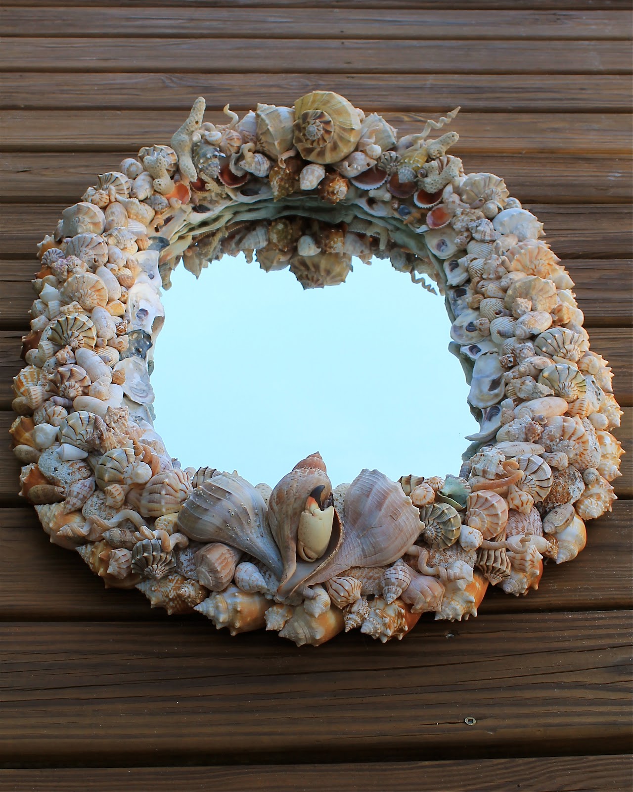 Connecting Pieces: Oval Shell Mirror