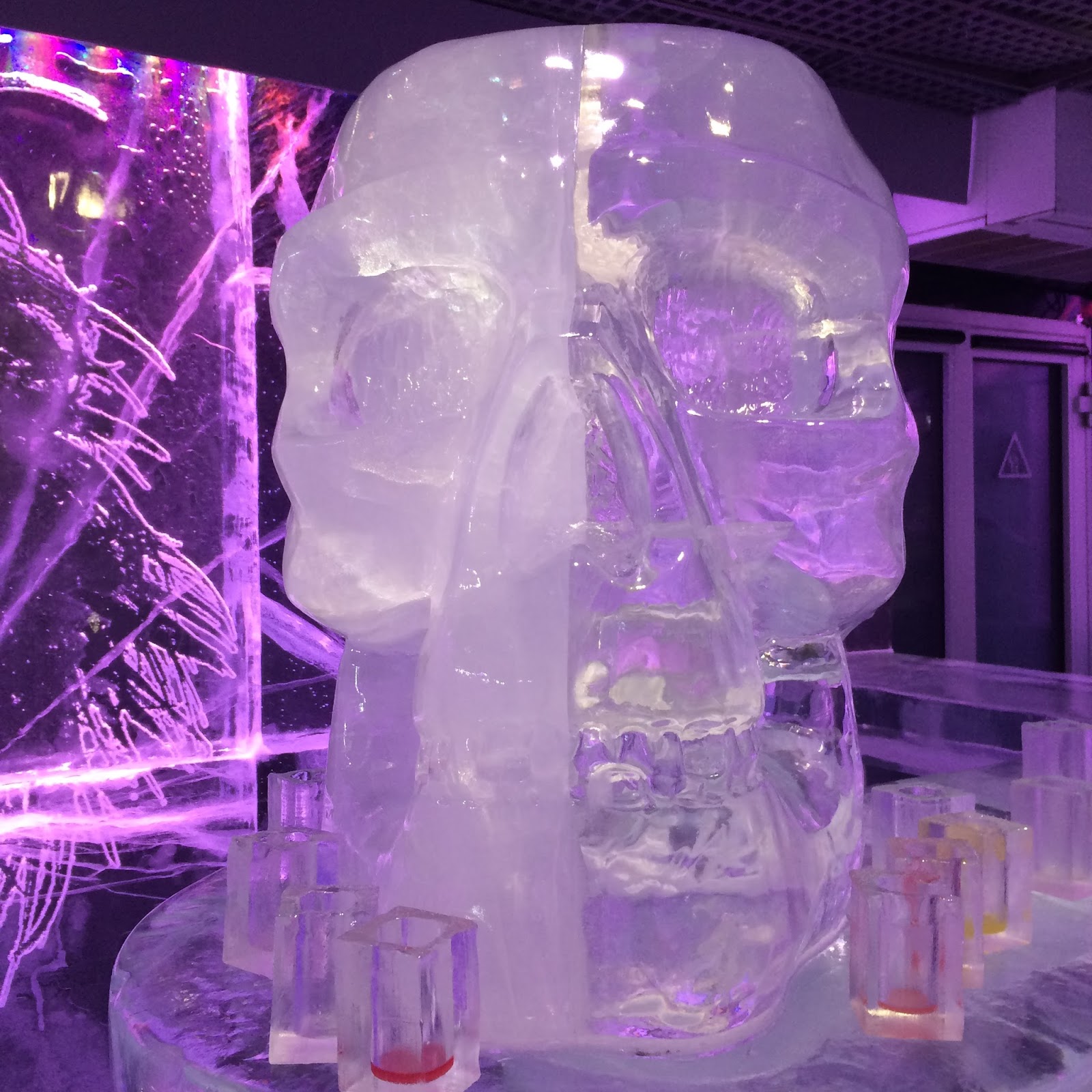 Exceptional Food and Chill Out at Icebar London / LUCY LOVES TO EAT