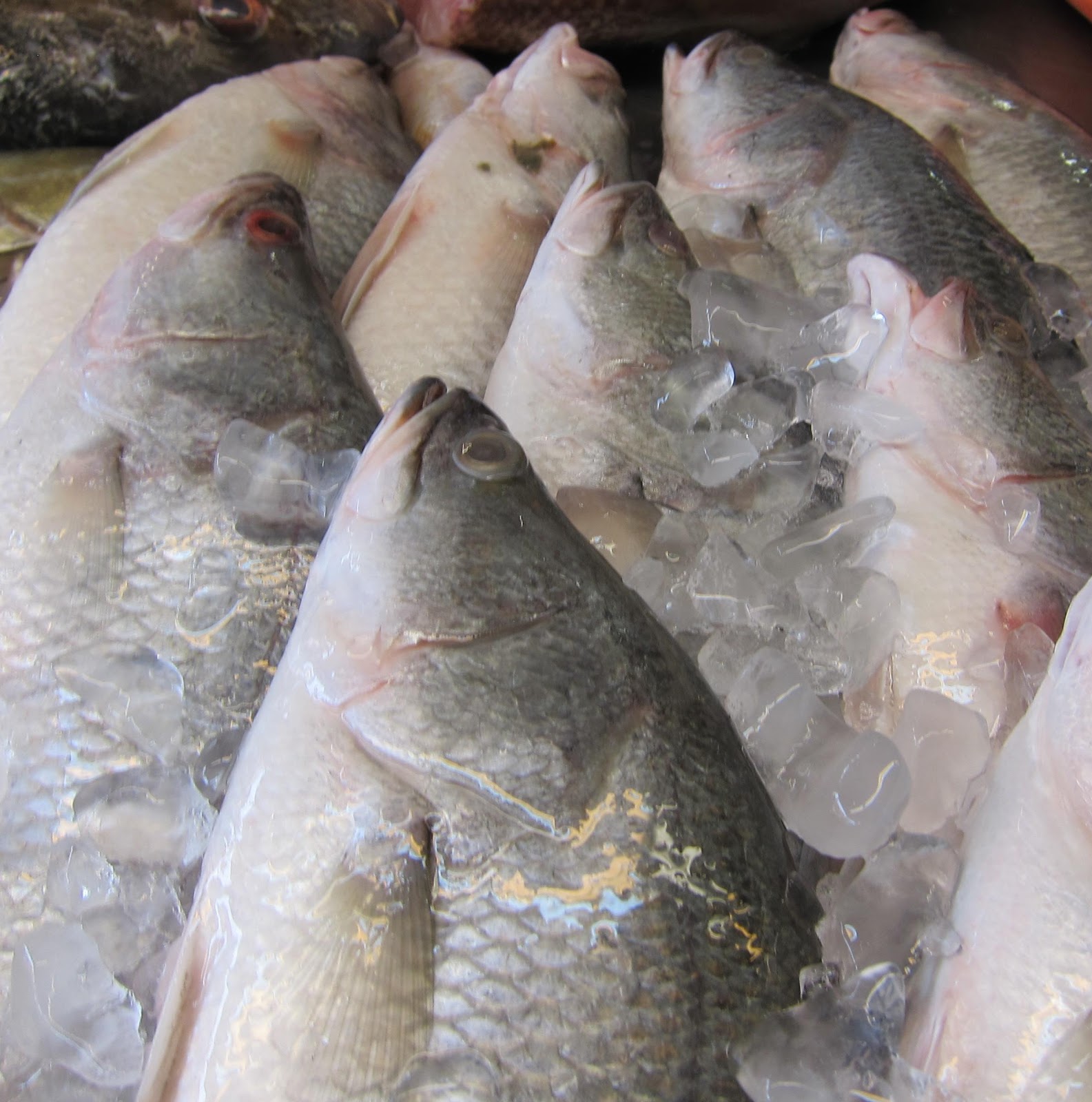 Rambutan Tree Fish Soup @ Road Side Stall off Jalan Kebun Teh Lama ...