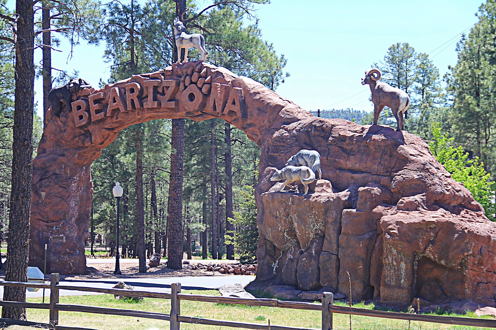 Dick and Pam's RV Journeys: Bearizona Wildlife drive-through Park ...