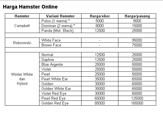 daftar harga hamster ~ Hamster Bantul