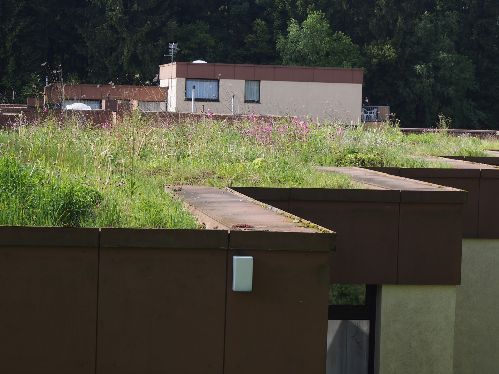 Nicht-von-dieser-Welt: Käte Strobel Haus