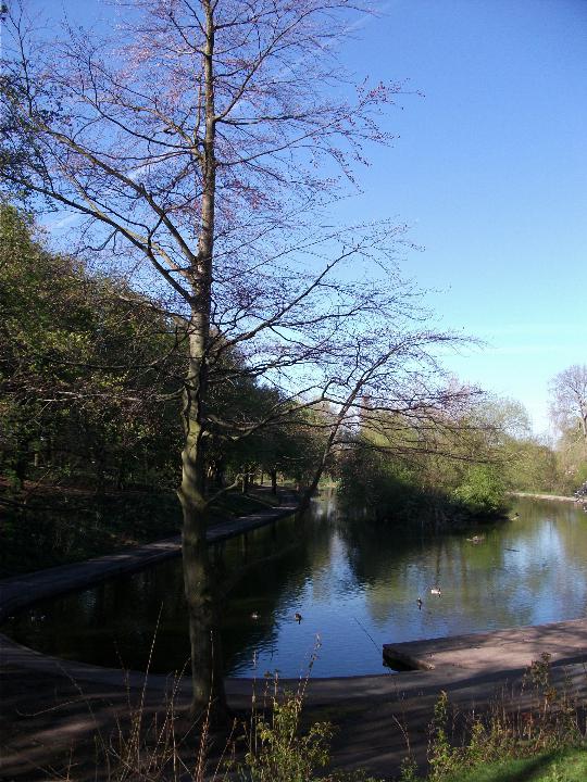 Vinnyman's Birding and Nature Blog.: Ward End Park.