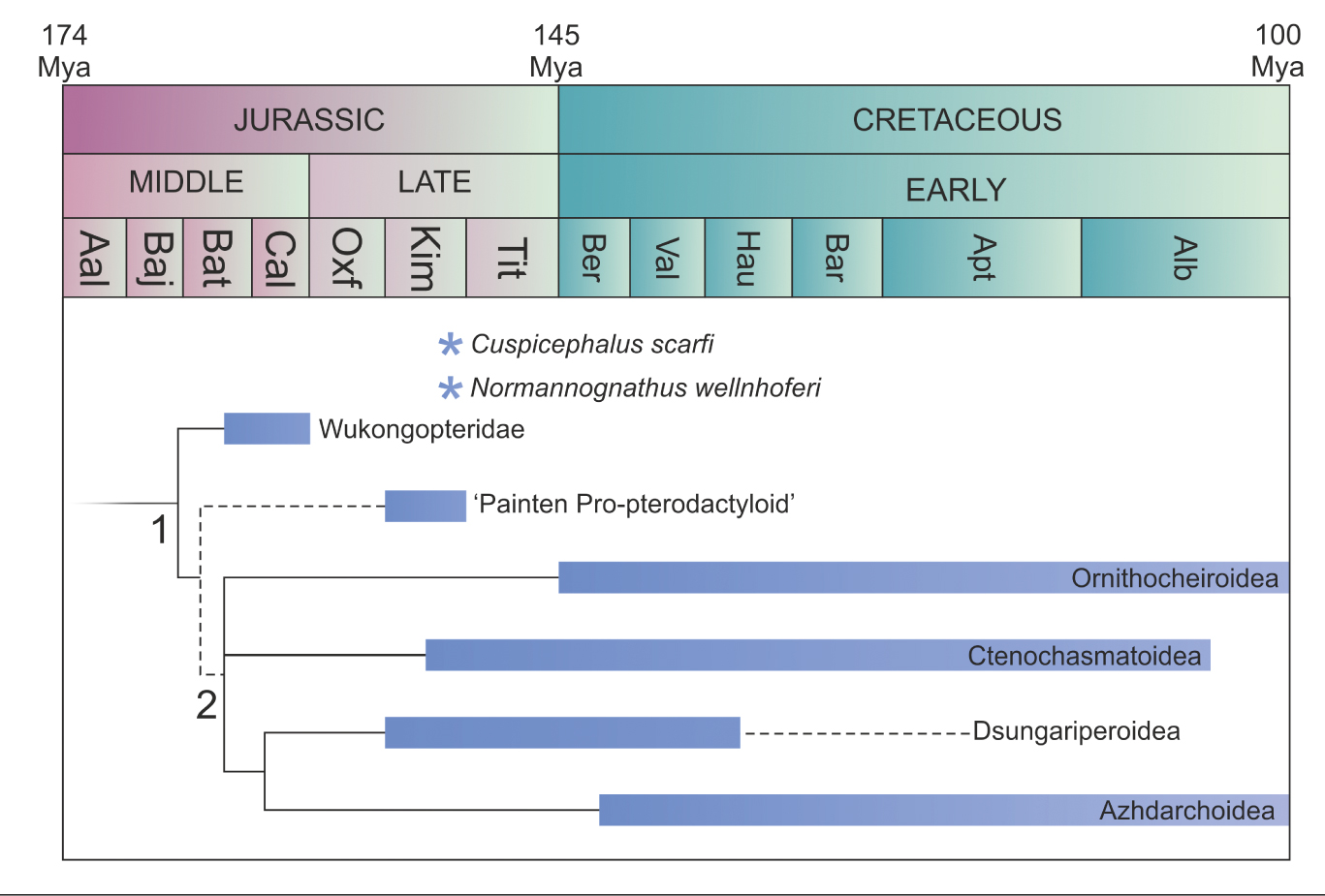 The Dragon's Tales: Cuspicephalus scarfi is Really a Wukongopterid ...