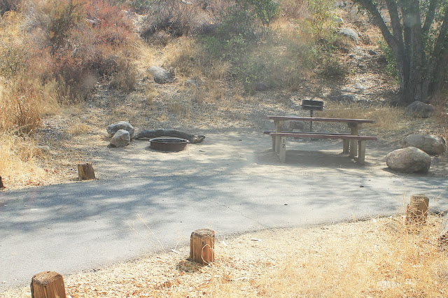 Western Sojourns: Travels with Camissonia: DRIPPING SPRINGS CAMPGROUND ...