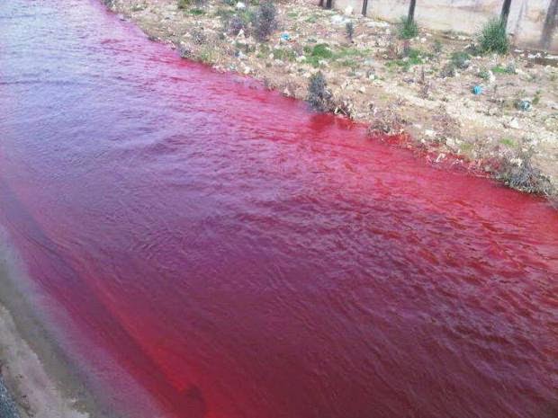 10 PHOTOS OF RIVER THAT TURNED BLOOD | Bongopic