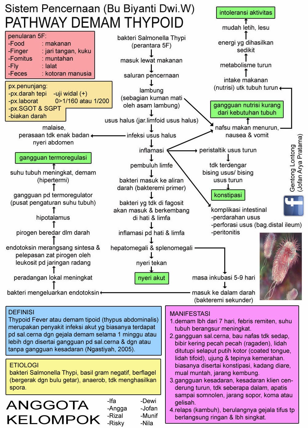 LAPORAN PENDAHULUAN DEMAM THYPOID | Fena Kuliahmu