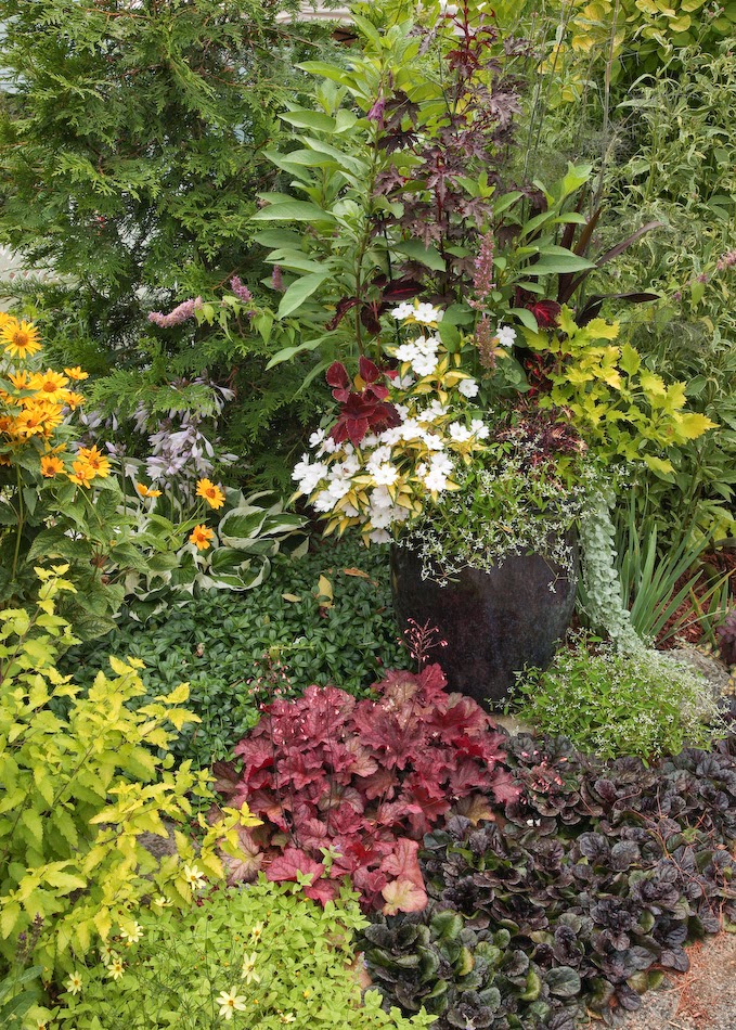 Fortnam Gardens: A Few Random Images