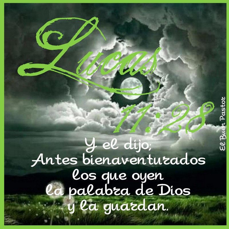 YO SOY EL BUEN PASTOR: Lucas 11:28