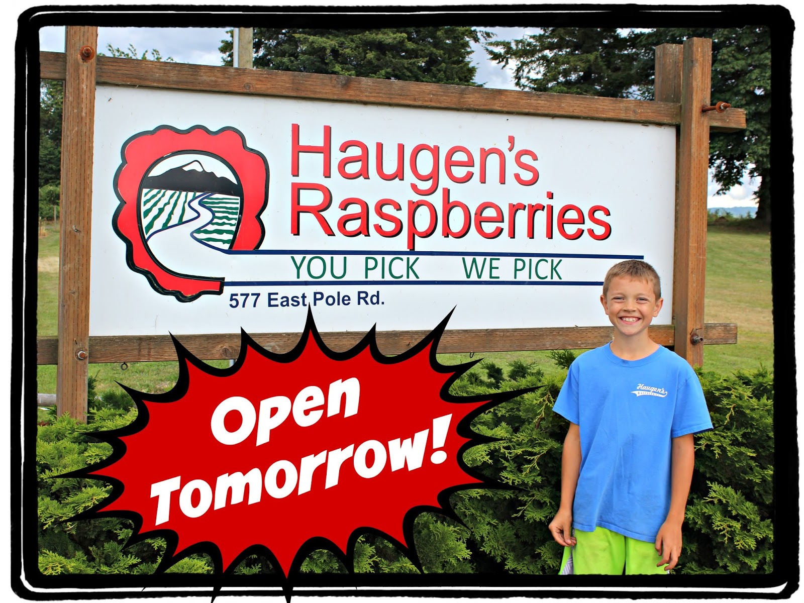 Haugen's Raspberry Farm