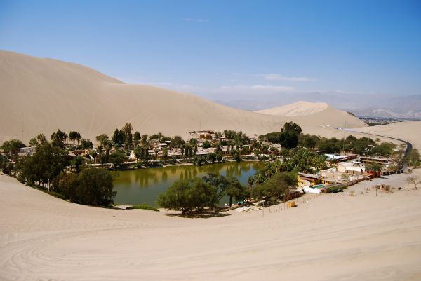 Oasis Area | Interesting Creative Designs