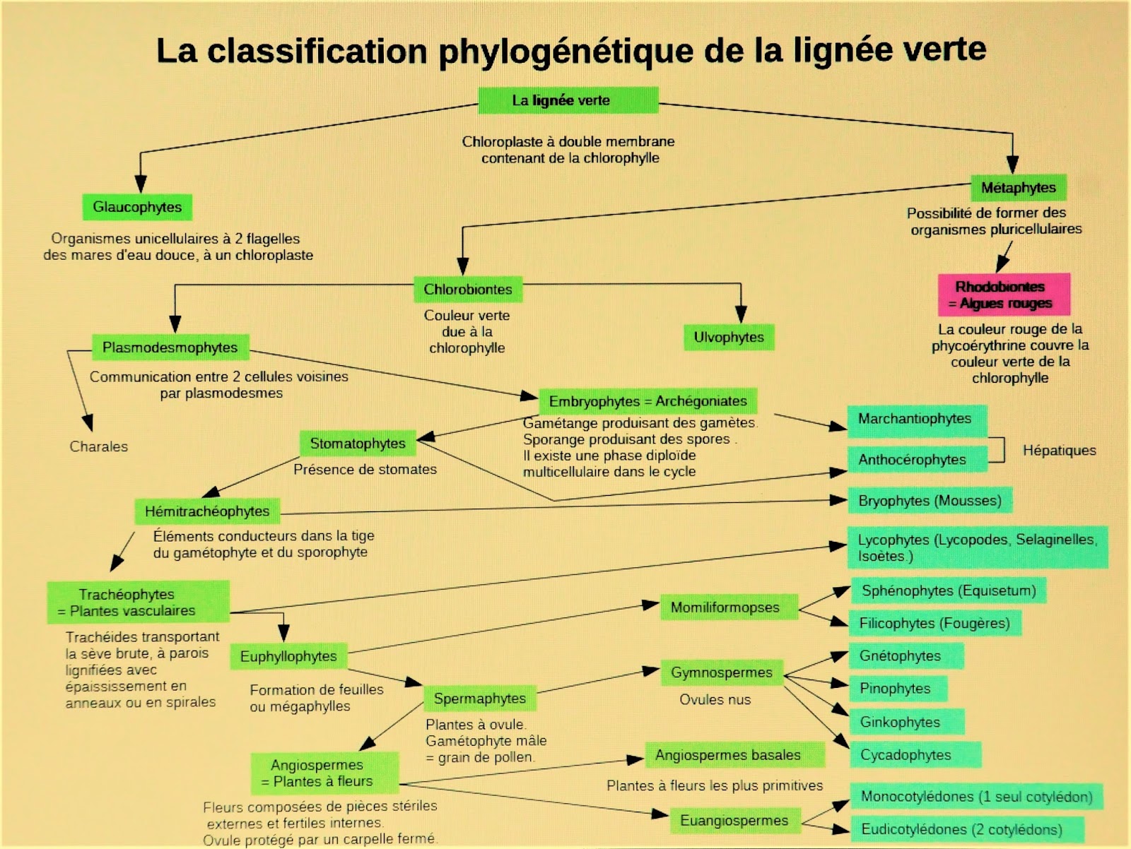 SHNJ. SOCIÉTÉ D'HISTOIRE NATURELLE DU JURA et des Amis de la Nature ...