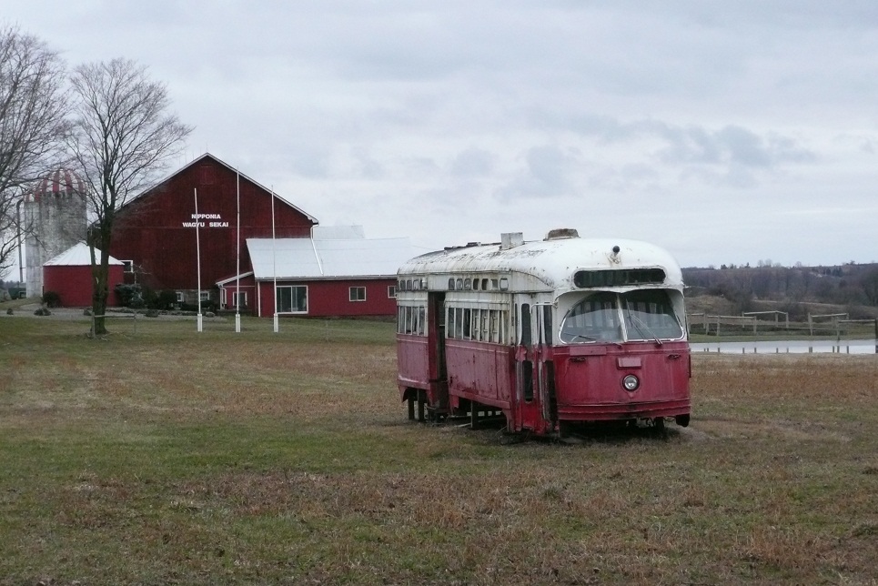 Progress is fine, but it's gone on for too long.: TTC PCC Car #4227