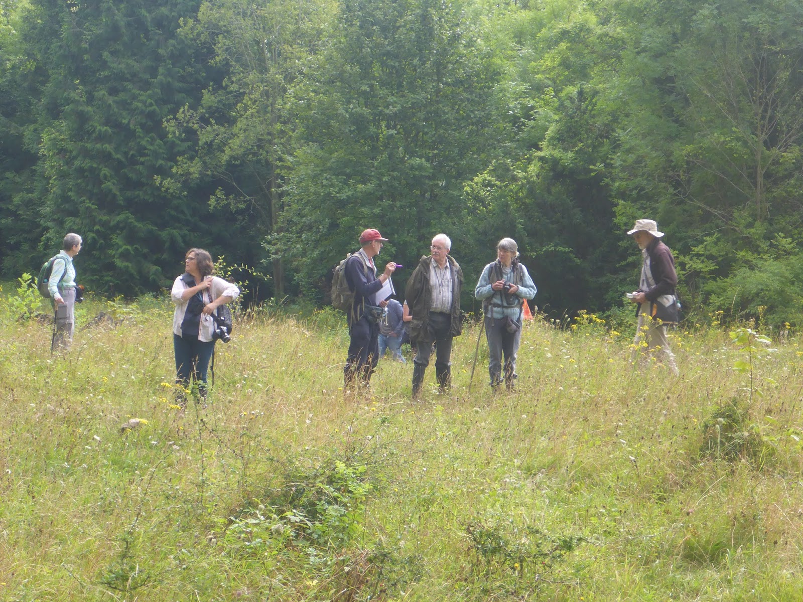 Autumn Lady's-tresses found during BSBI Recorders' Conference fieldtrip