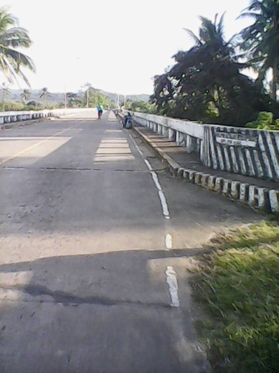 Engineer's Standpoint: Blog for Unfinished Project in North Samar