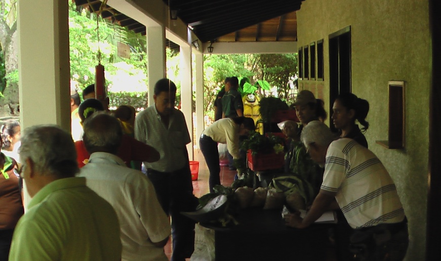 Parque Temático Bosque Macuto