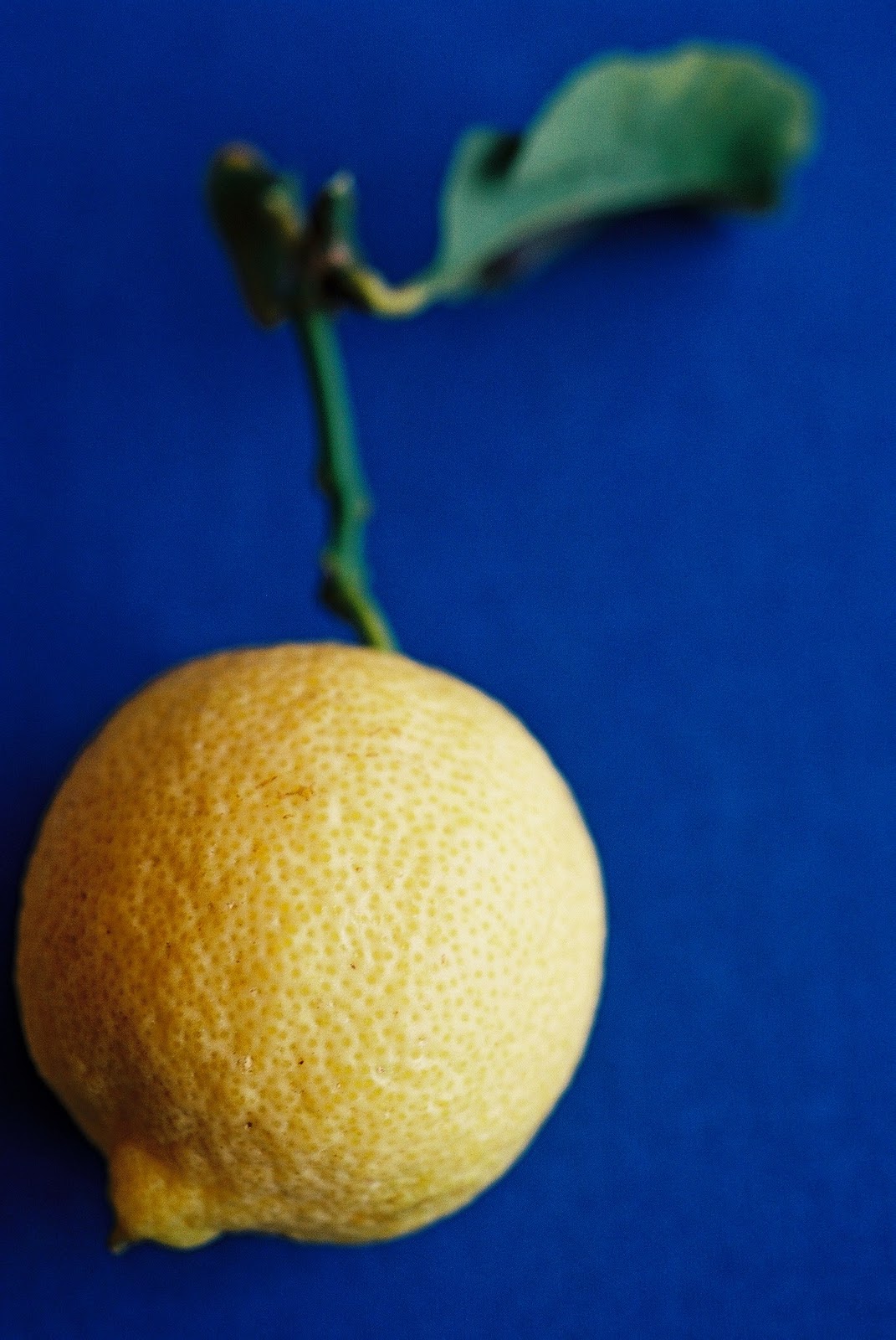 Feeding the Eye: February 2011