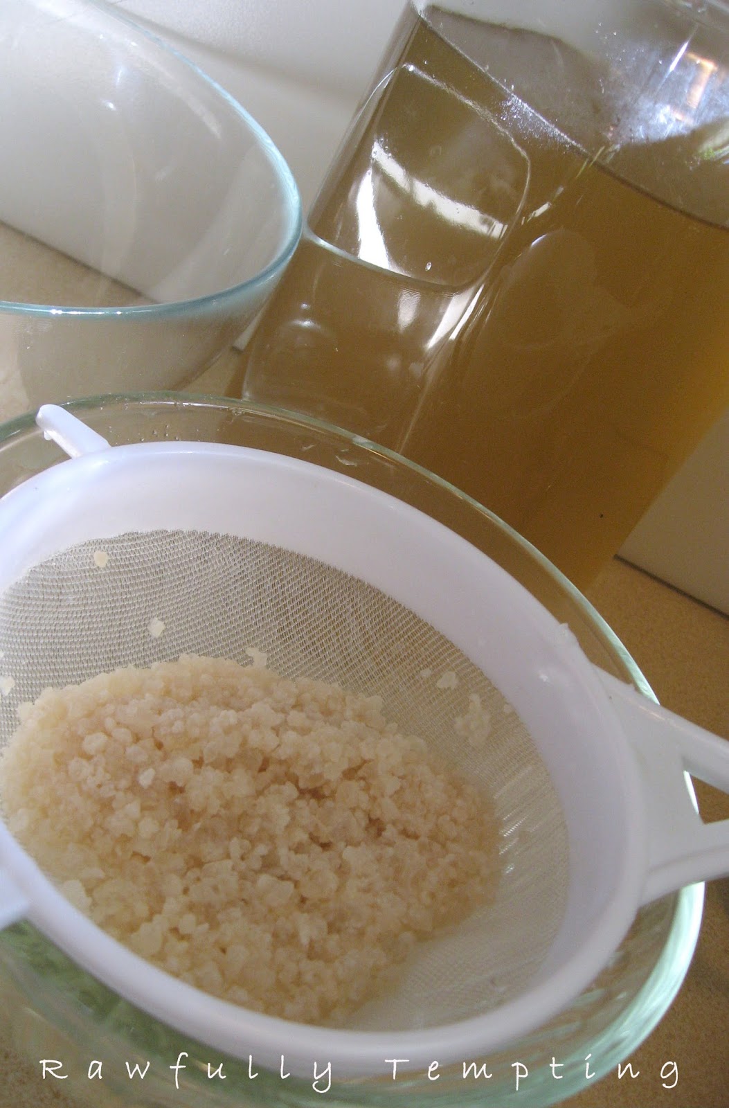 11 page .pdf How to Prepare Water Kefir Handbook (via email)