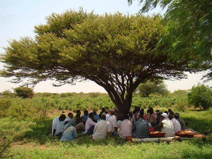Suldaan Siciid iyo Siyaasada Somaliland: Sheeko: Caqliga wanaagsan iyo ...