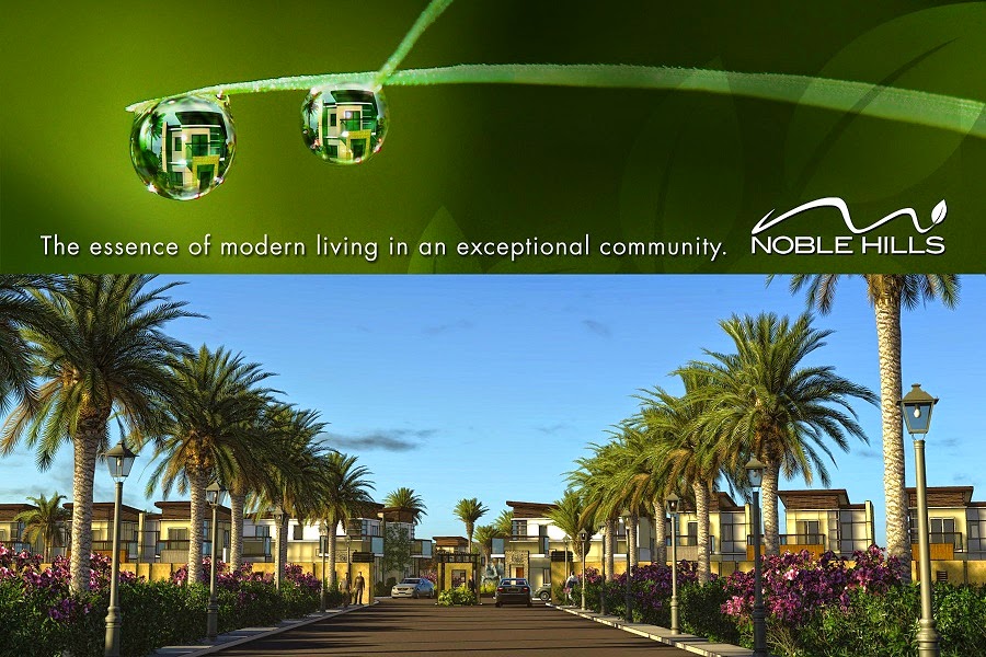 Invest a House and Lot in the Philippines: Preselling Single Detached ...