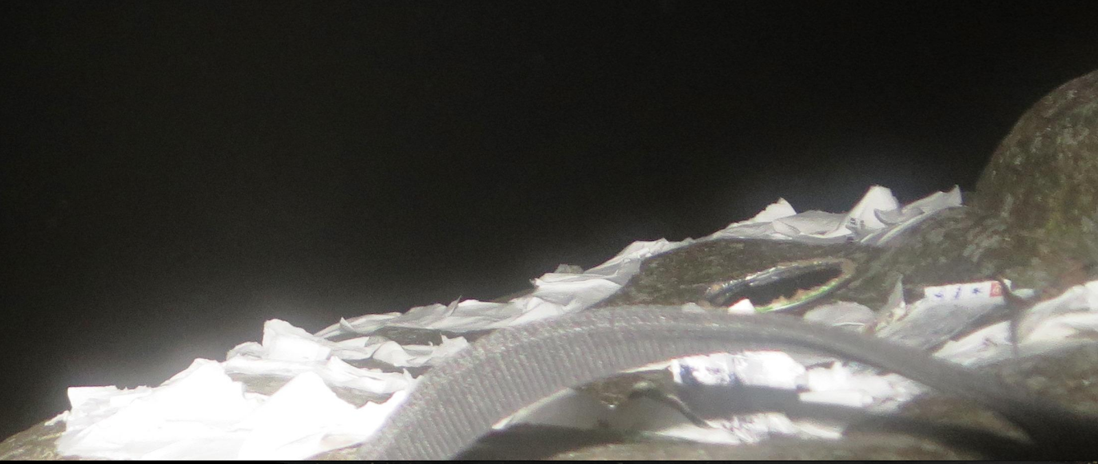 Kris kremers and lisanne froon all 90 photos - lsakeen