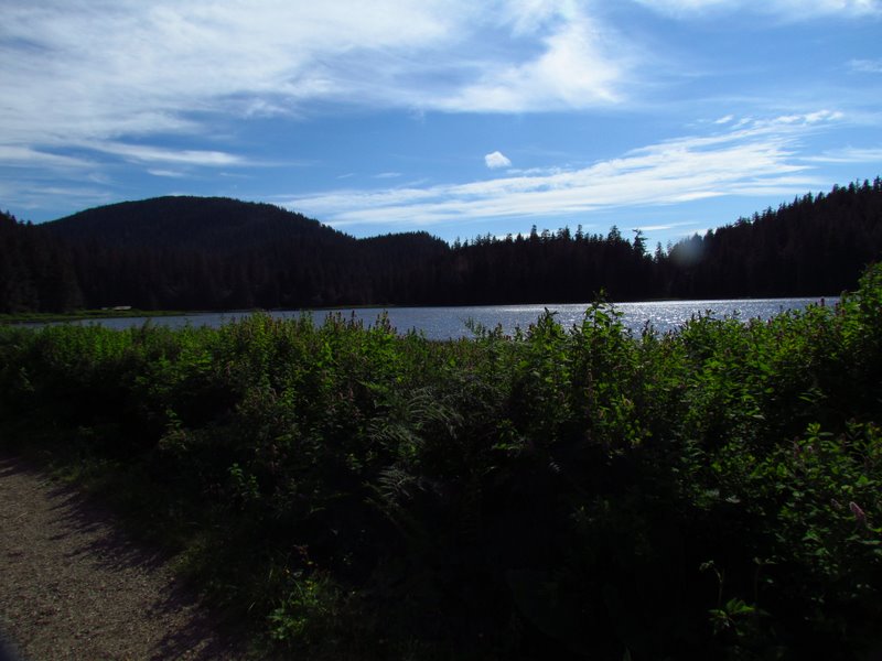 Grandma's Grand Adventures: July 21, 2011 - Sunny Day - Harbors, Totems ...