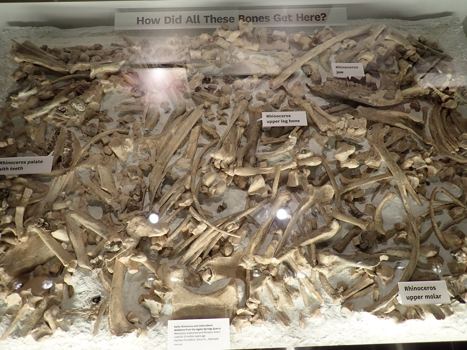 Geoenvironmental research group GERG: Visiting National Museum of ...
