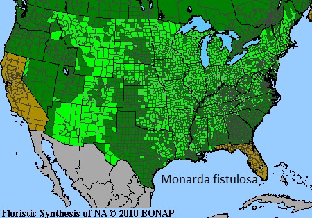 Restoring The Landscape With Native Plants: Is That Species Native?