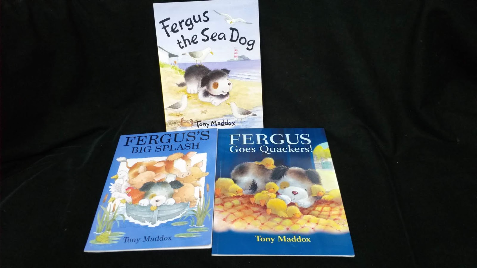 Kid Books Blog: 55.Fergus