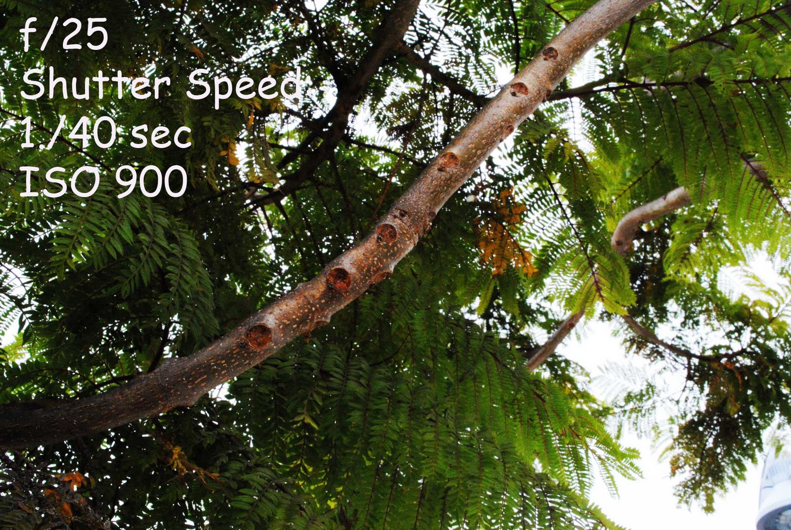 desireynorthrup2: Diagonal Shots Outside.