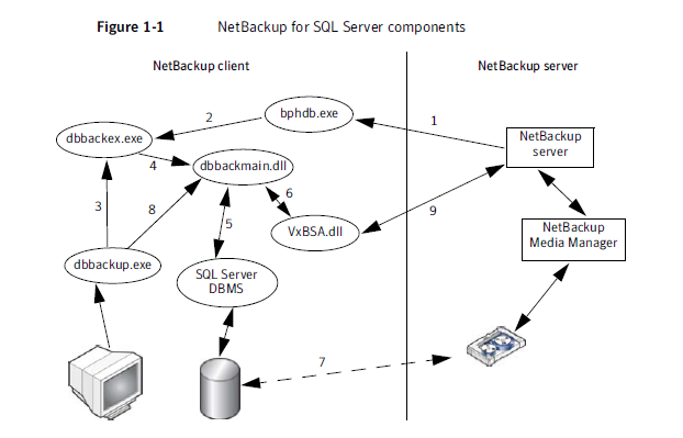 Sqew Notepad Unix Storage Backup Netbackup Ms Sql Backup Processes