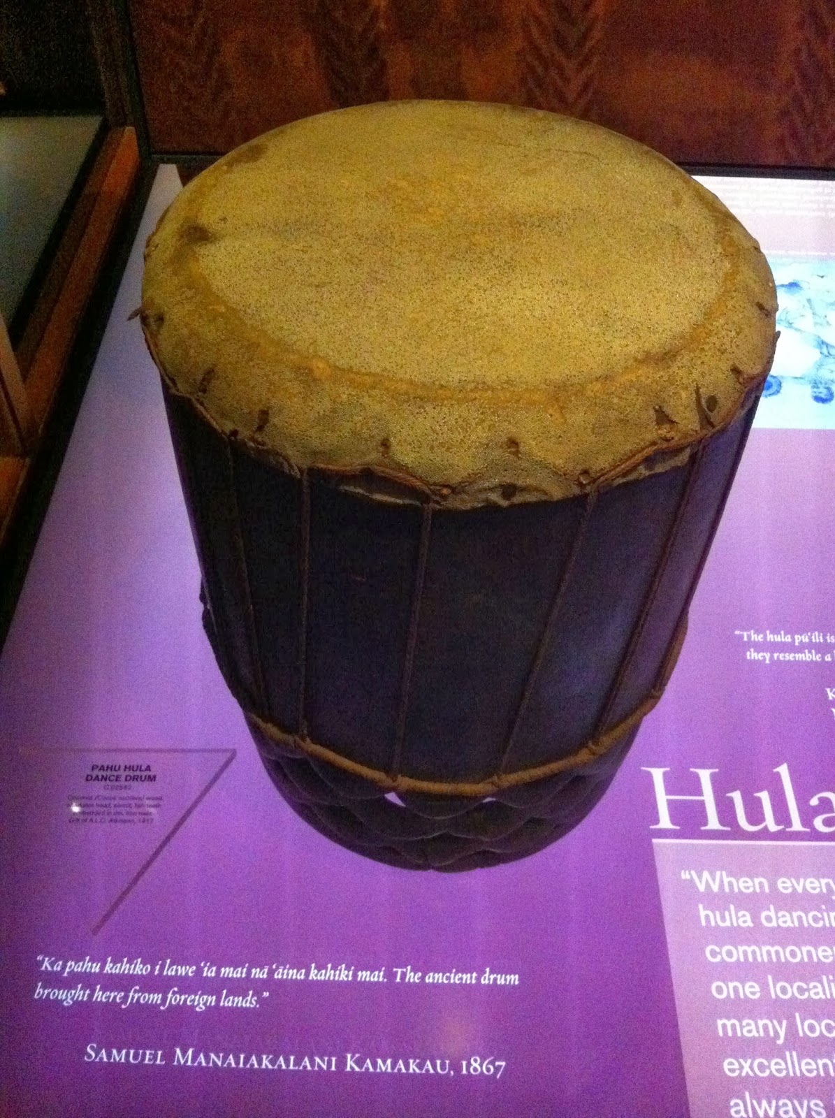 Pohukaina Cave: November 2013