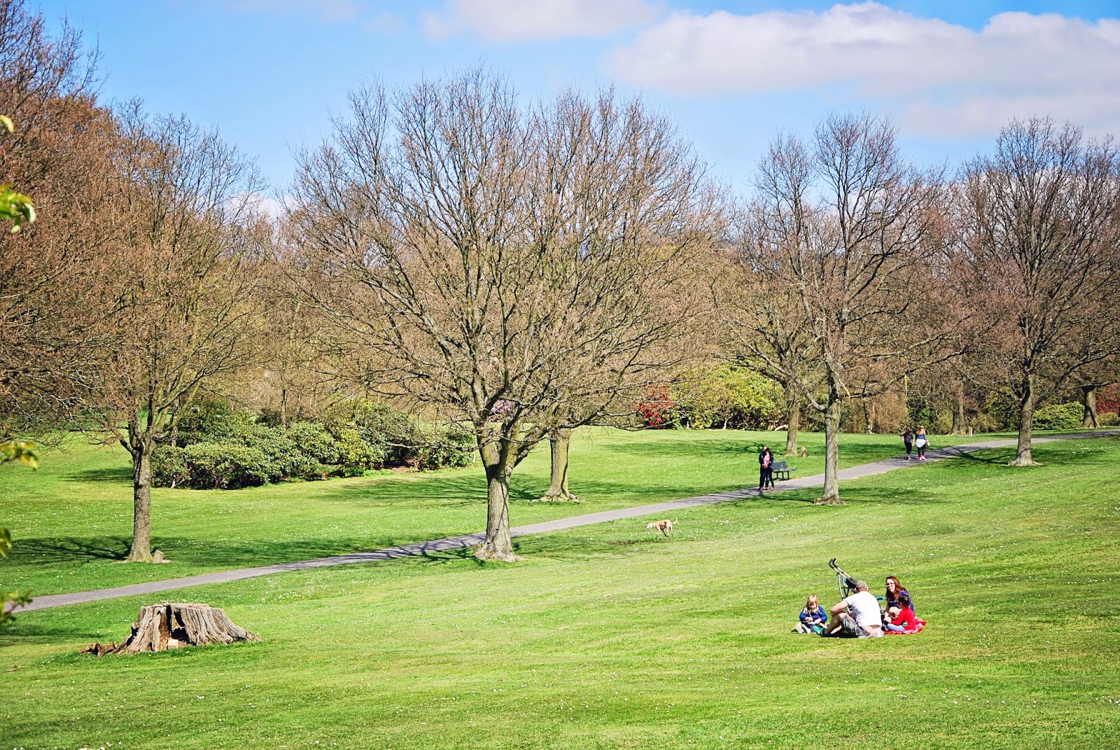 Sheffield Walks: Graves Park | The Travelling Kind