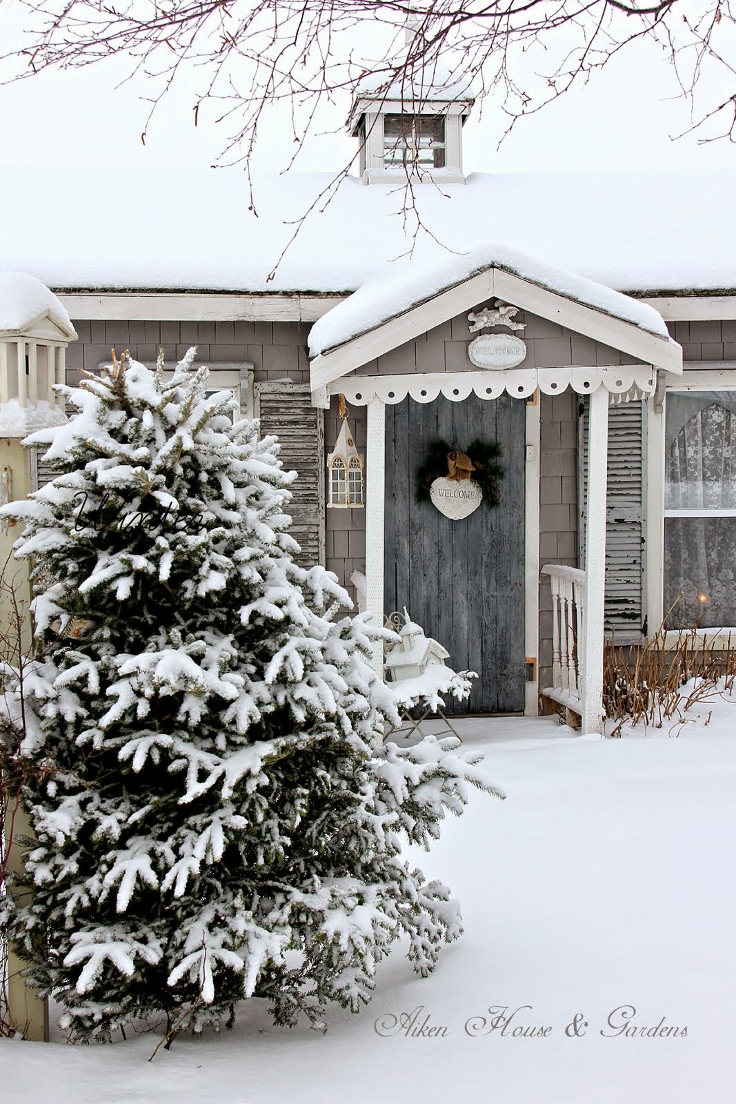 Aiken House & Gardens: Our Winter Garden