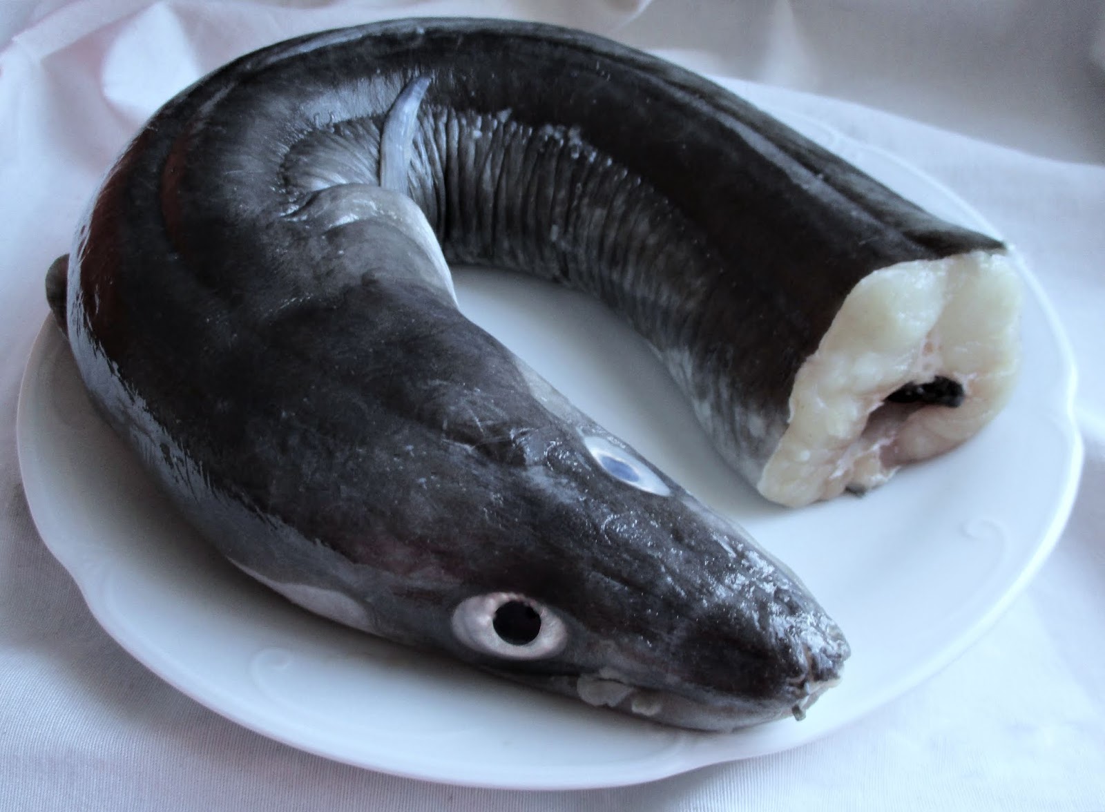 Aquí se cocina: Congrio guisado con patatas