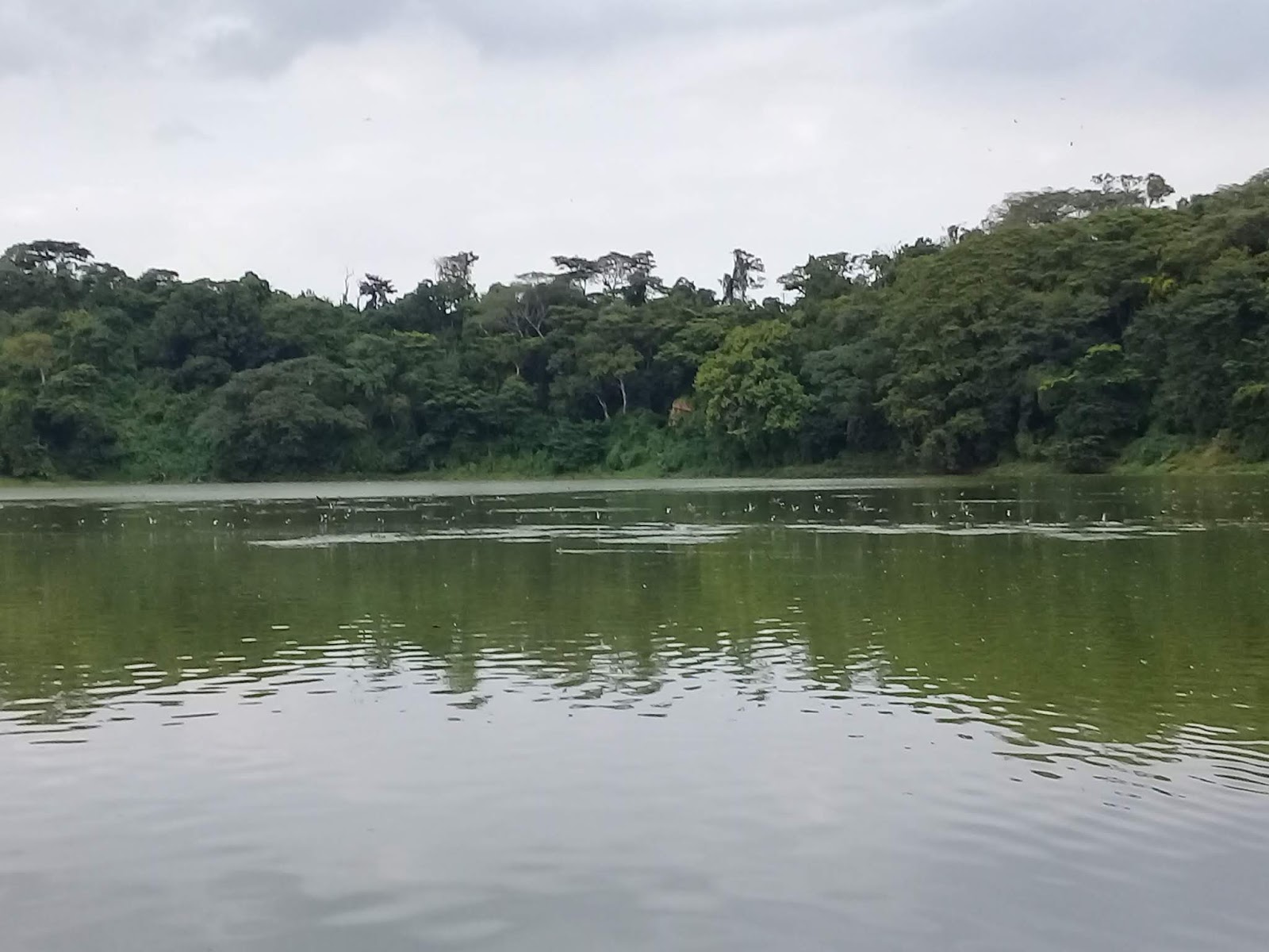Michys Tours: Laguna de Chanmico