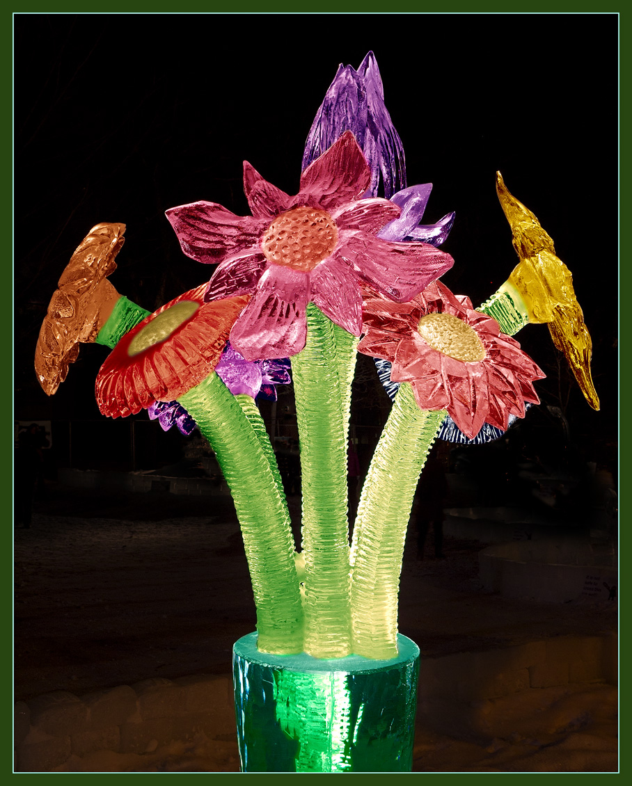 James Ainslie: Ice On Whyte, Ice sculpture, Flowers, second view