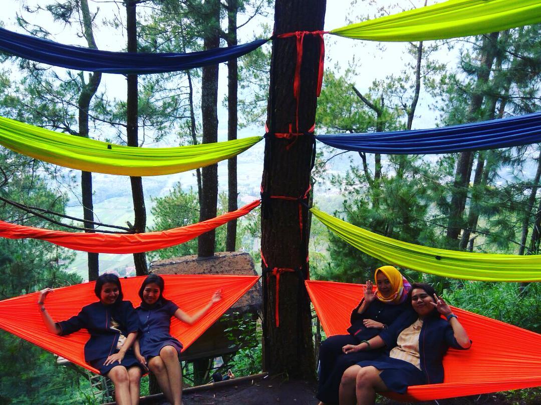 Omah Kayu Batu Malang, Spot Foto Kece di Atas Pohon - Tempat Wisata di ...